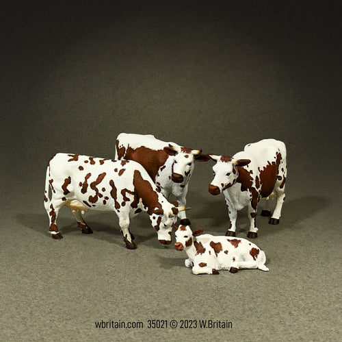 35021 Brown Randall Lineback Cows - The History Store